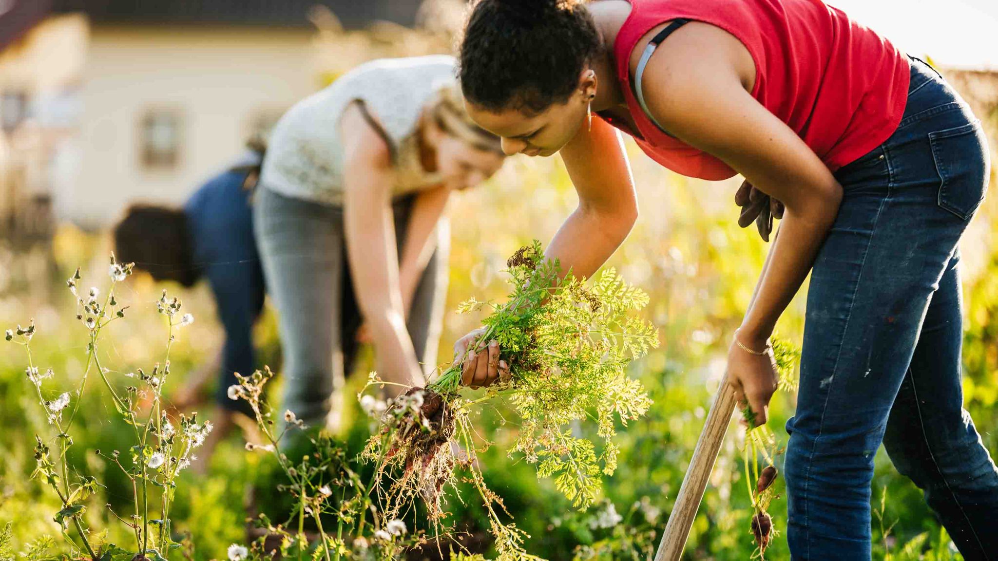 How to Become a Volunteer: A Step-by-Step Guide - Project Share